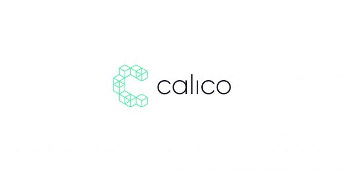 Calico - The Design Attic
